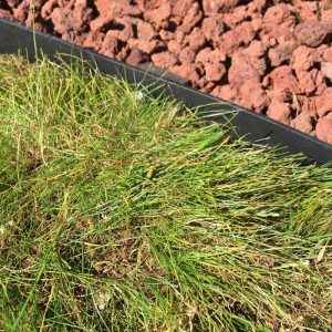Plastic Forests – Recycling Soft Plastics into Sustainable Products