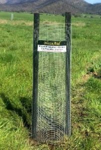 Garden or Tree Planting Stakes- 300mm to 1800mm x 38mm x 38mm – No ...