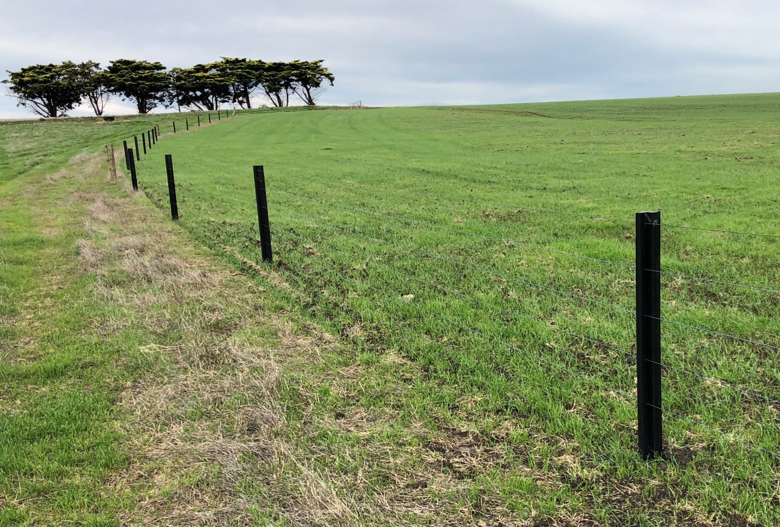 Fence post recycled plastic- PLUS Post- Steel reinforced- Plastic Forests
