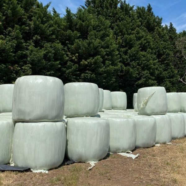 Root Barrier Heavy Duty- 3mm thick – Plastic Forests