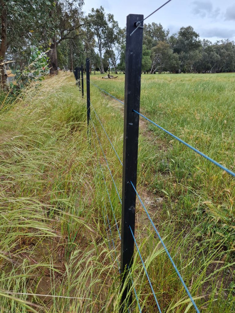 Square Picket - Recycled plastic - Solid 38mm x 38mm - Plastic Forests