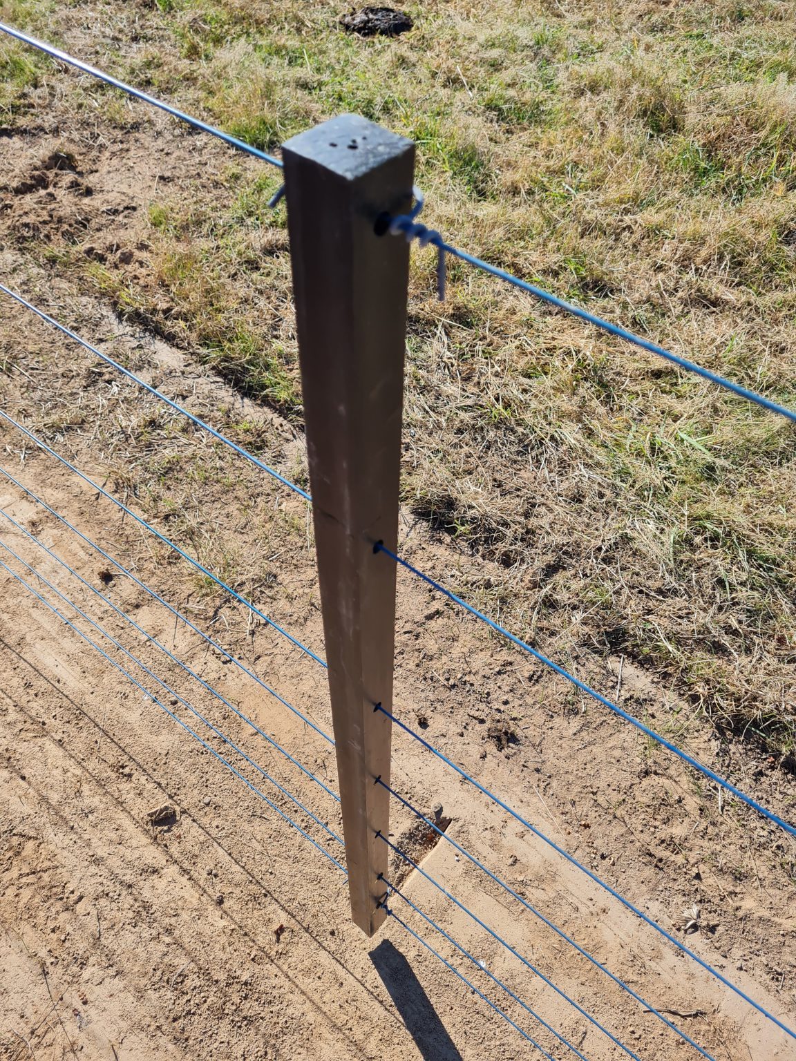 Fence Posts – Plastic Forests