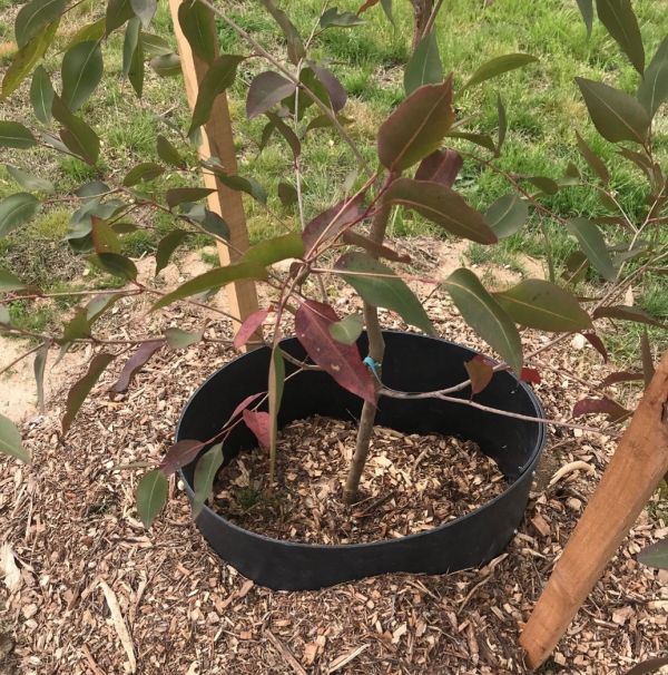 Garden – Plastic Forests