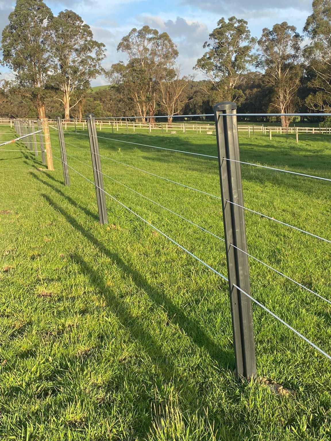 Equine PLUS Post® – 110mm x 110mm – Dome Top – Plastic Forests