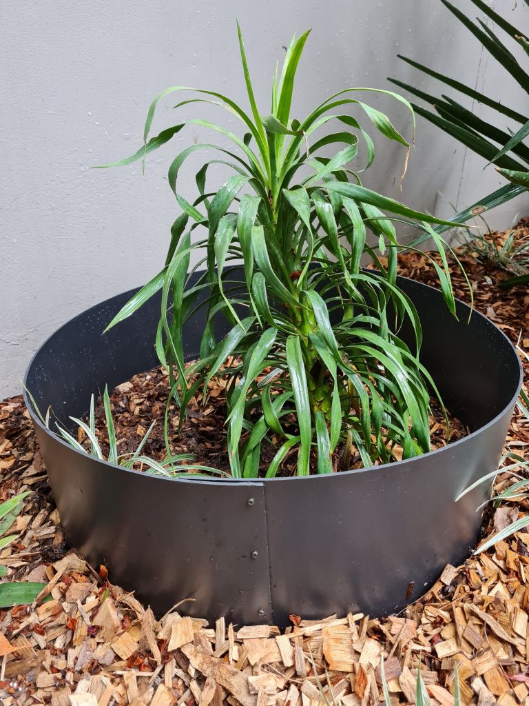 Water Saver Tree Rings -Heavy Duty 3mm thick wall – Black – Plastic Forests