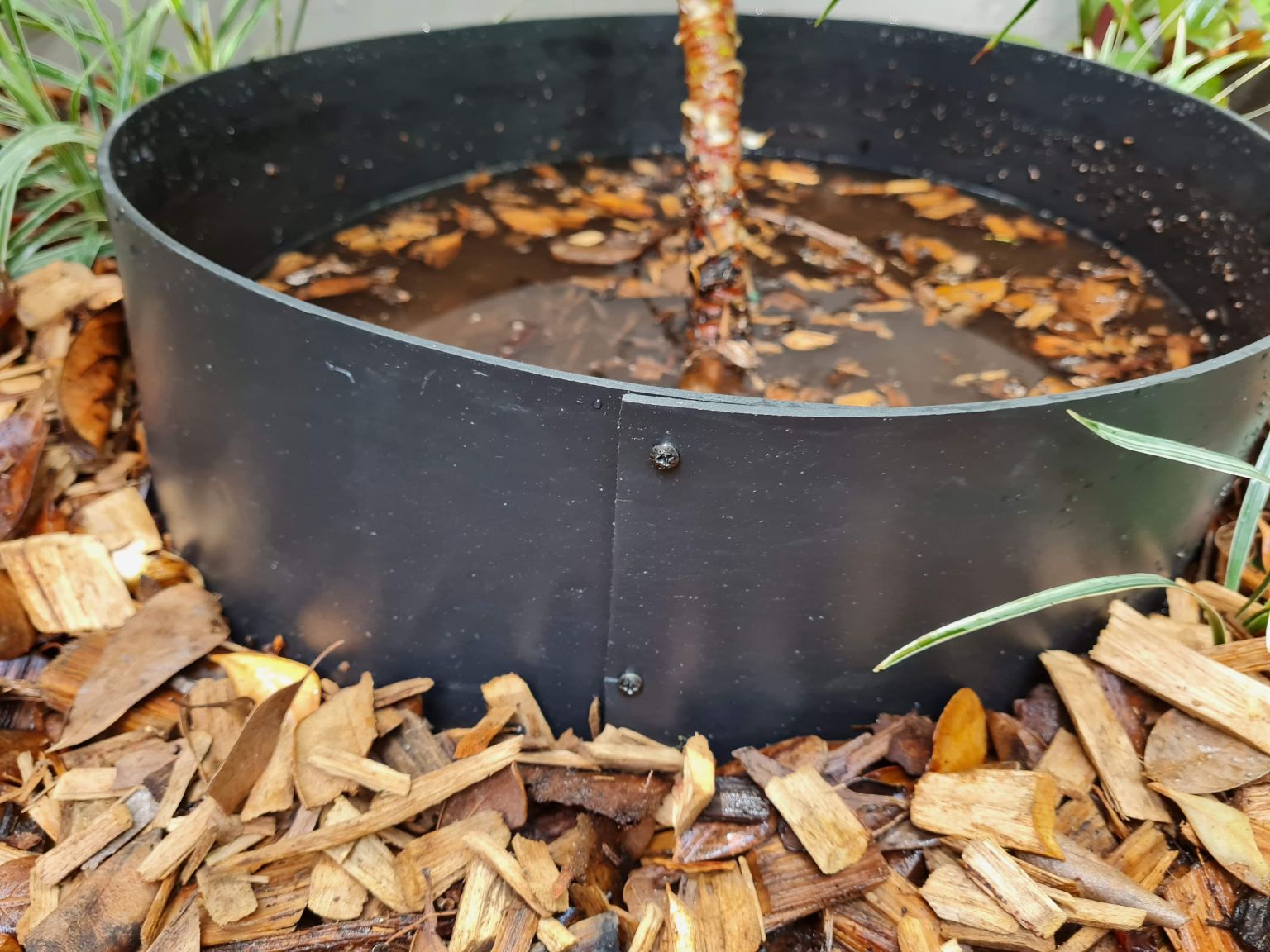 Water Saver Tree Ring- Extra Heavy Duty 5mm wall thickness in Black ...