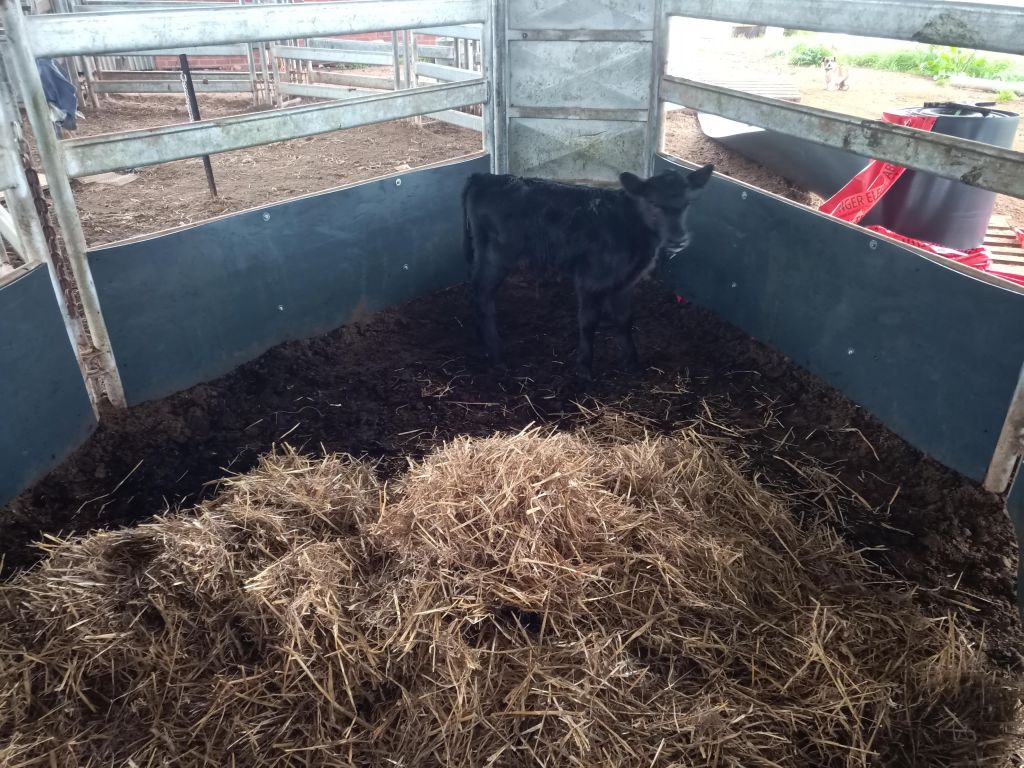 Poly Sheet / Poly Barrier /Stockyard Sheeting (2mm, 3mm, 5mm thickness ...