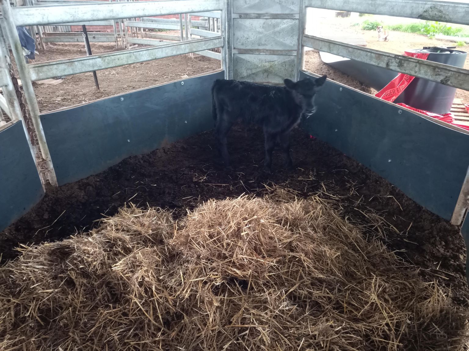Poly Sheet / Poly Barrier /Stockyard Sheeting (2mm, 3mm, 5mm thickness ...