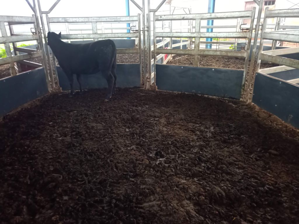 Poly Sheet / Poly Barrier /Stockyard Sheeting (2mm, 3mm, 5mm thickness ...