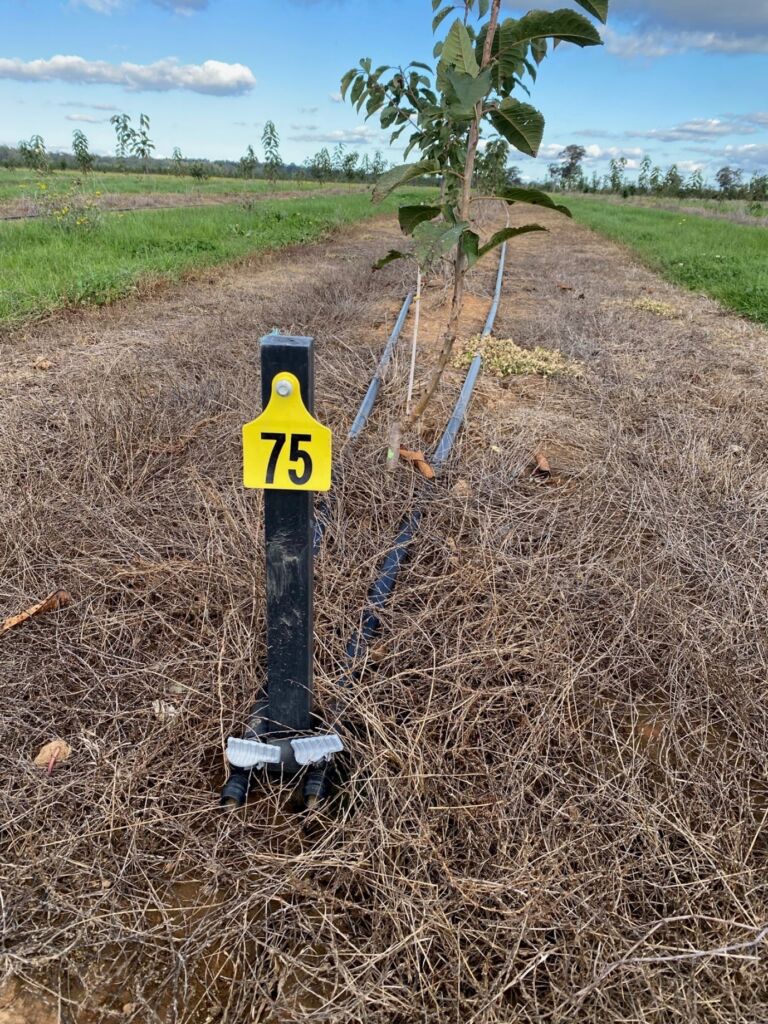 Orchard Stakes- Solid 38mm x 38mm – Recycled Plastic Mineral Composite ...