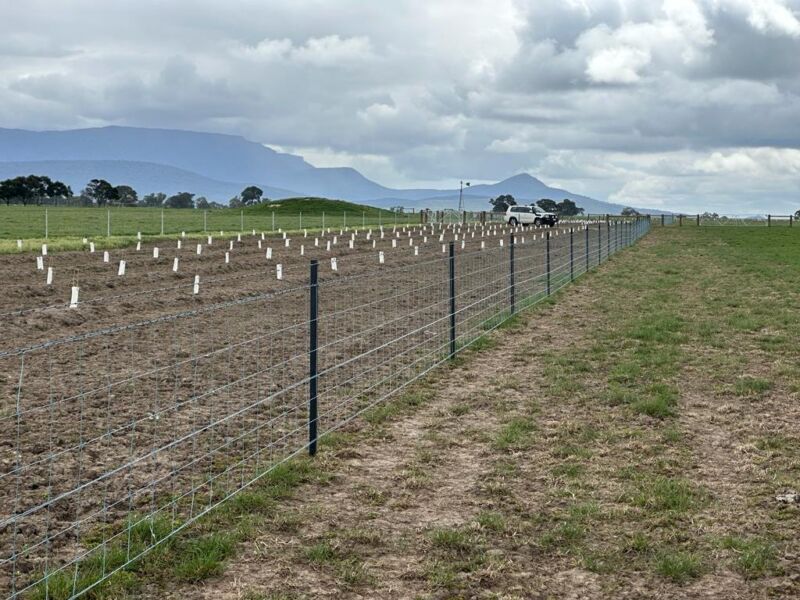 Square Pickets- Solid 38mm x 38mm- Recycled Plastic Mineral Composite ...