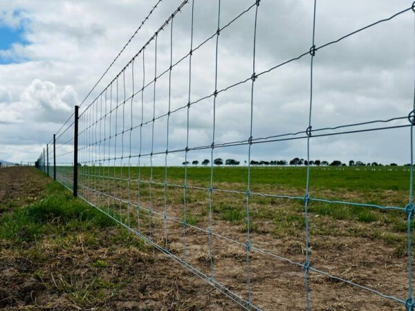 Square Pickets- Solid 38mm x 38mm- Recycled Plastic Mineral Composite ...