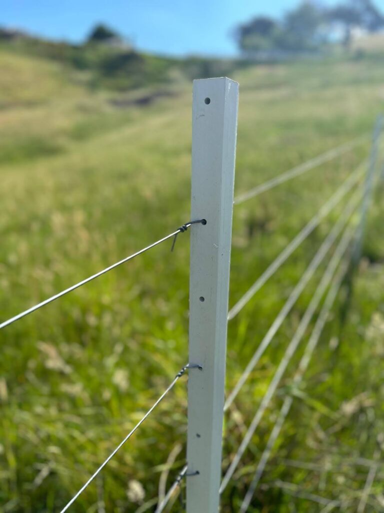 Fence Posts – Plastic Forests
