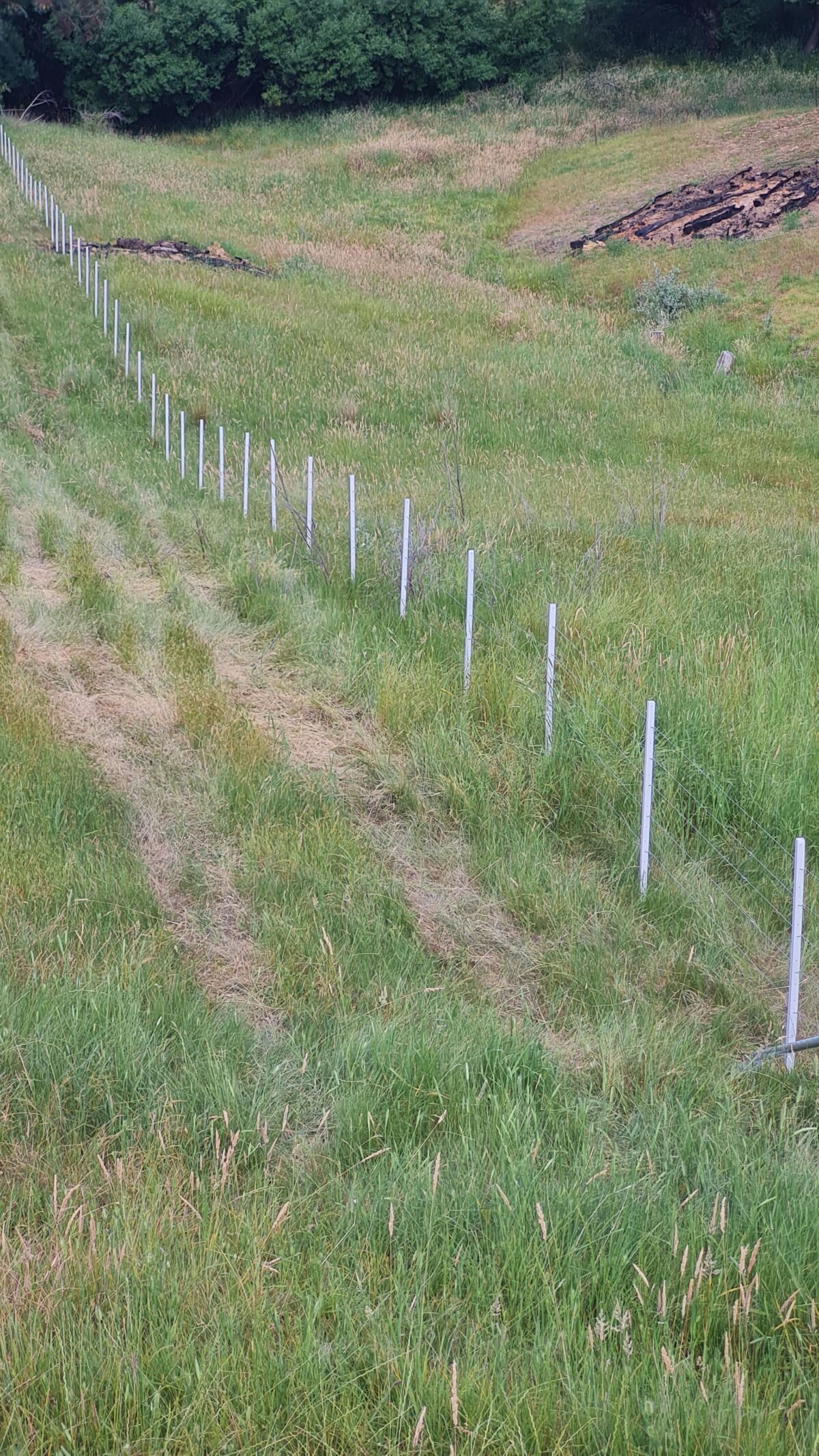 Square Pickets- Solid 38mm x 38mm- Recycled Plastic Mineral Composite ...