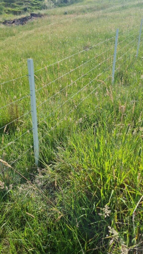 Square Pickets- Solid 38mm x 38mm- Recycled Plastic Mineral Composite ...