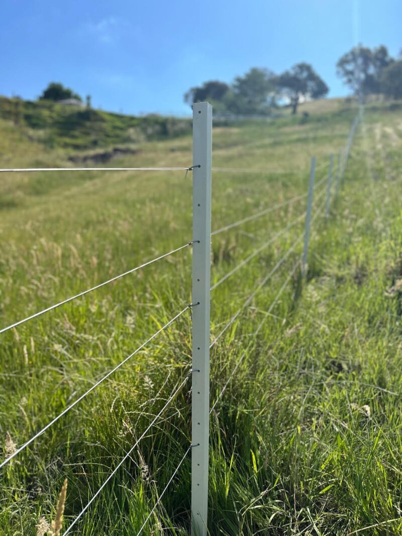 Square Pickets- Solid 38mm x 38mm- Recycled Plastic Mineral Composite ...