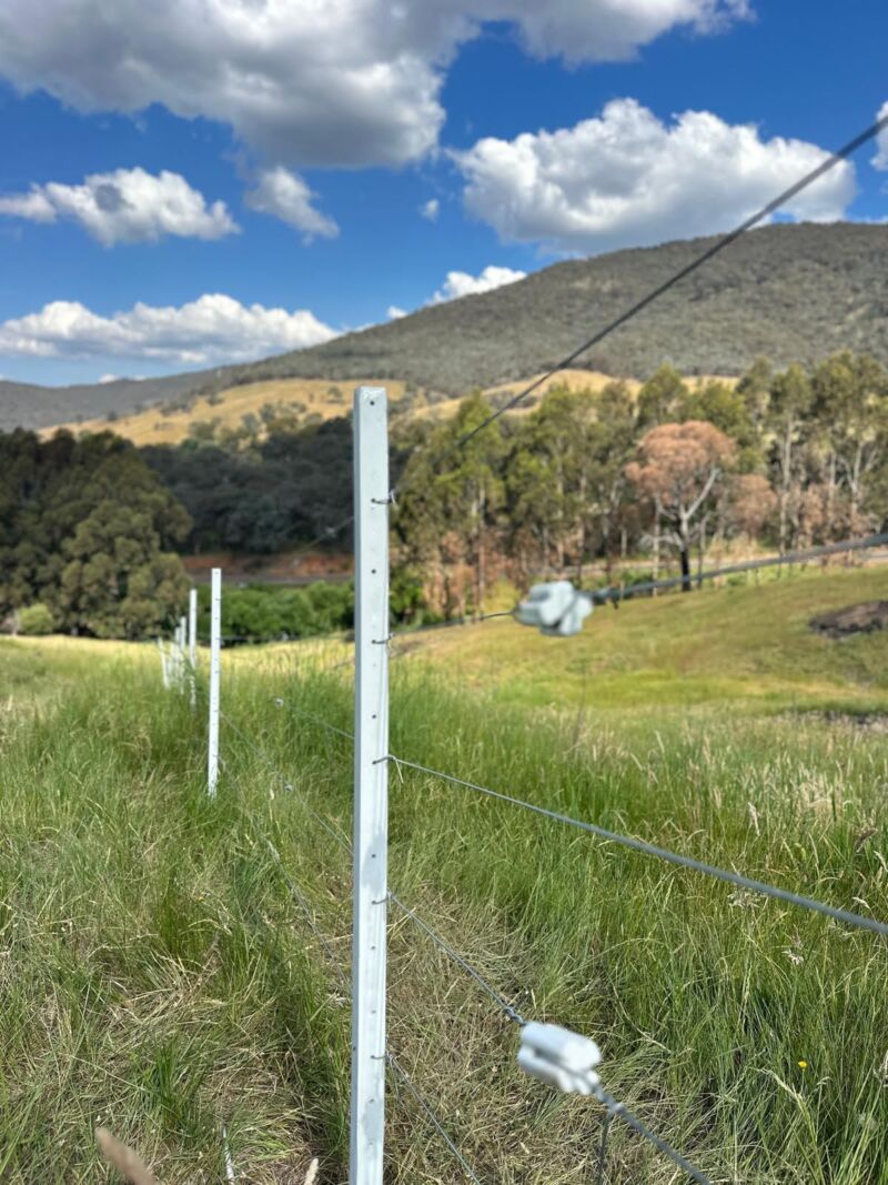 Fence Posts – Plastic Forests